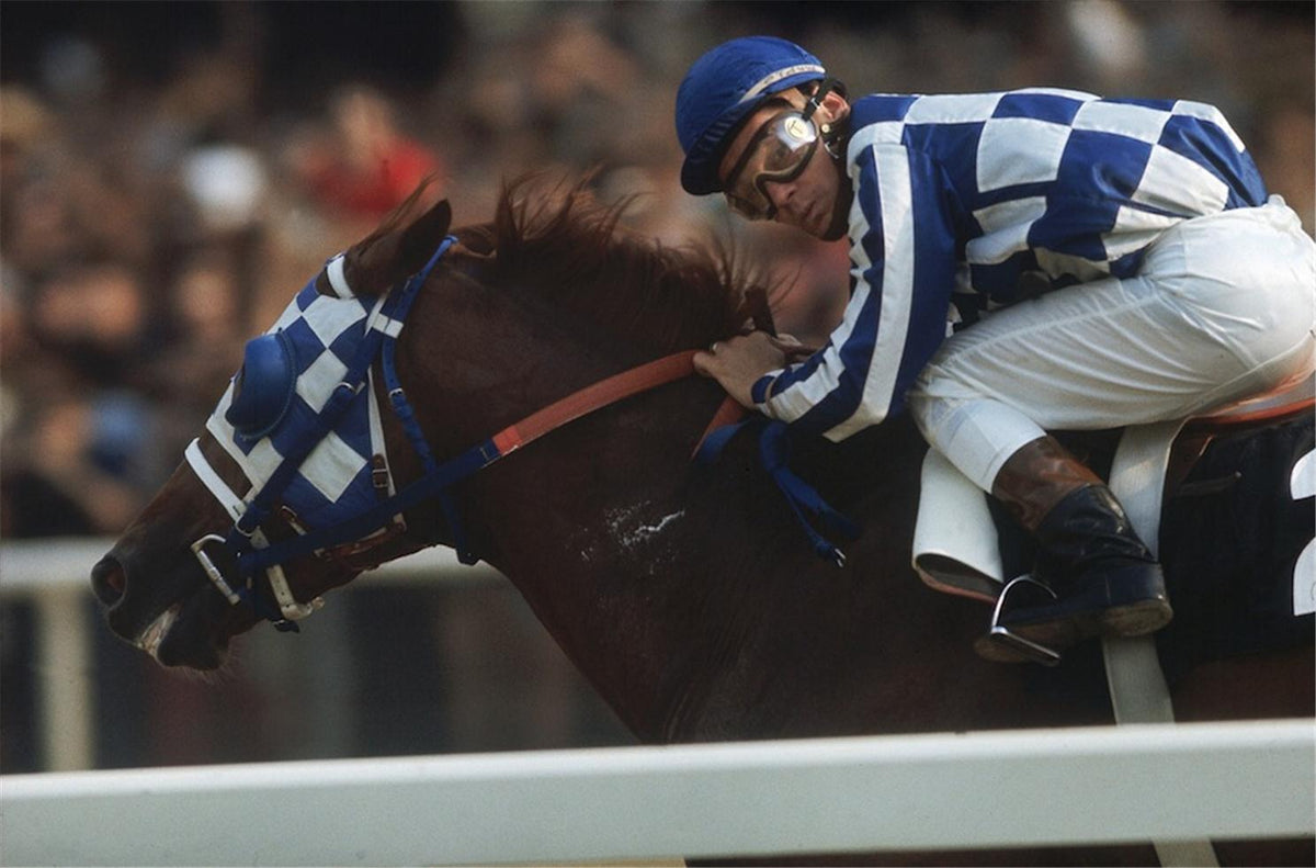Secretariat, 1973 Belmont Stakes